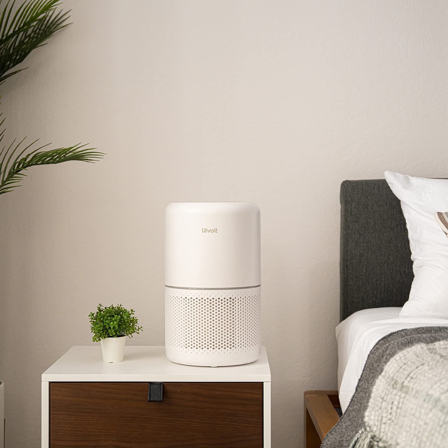 14 Negative Side Effects of Air Purifiers - Plastic Free Reviews